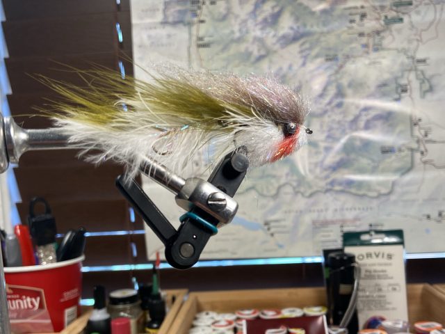 Big Streamers for Spotted Bass, and Shadow Bass? – Down South Fly Fishing