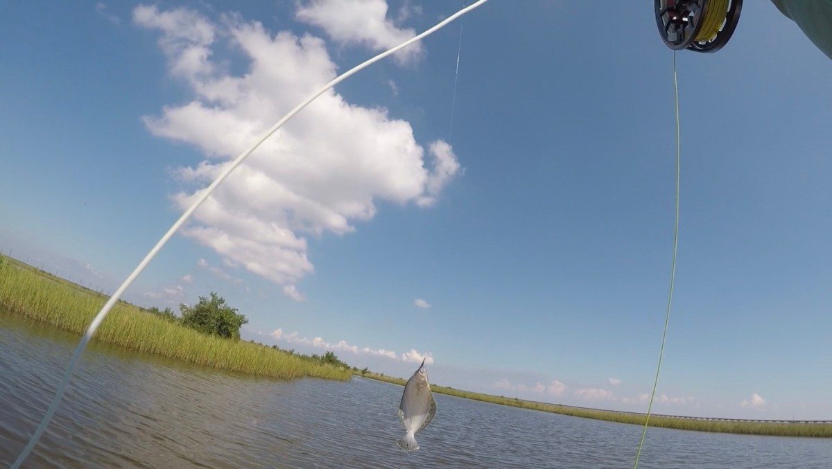 Marsh Fishing – Almost landed a Flounder! – Down South Fly Fishing